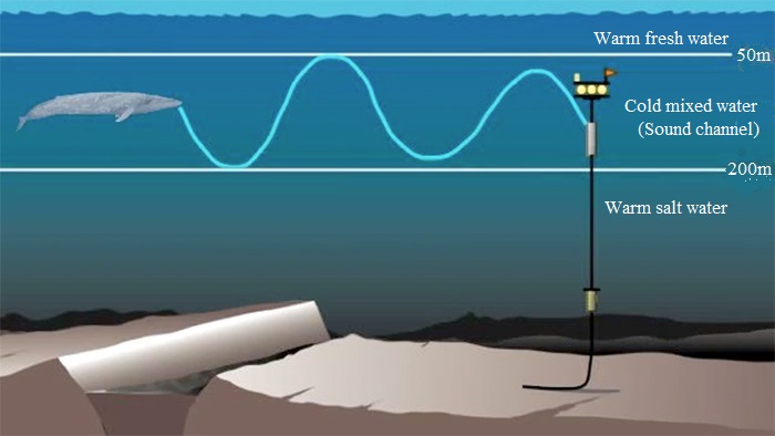The sound of climate disruption - Ocean Noise